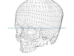 3D illusion led lamp human skull free vector download for laser ...